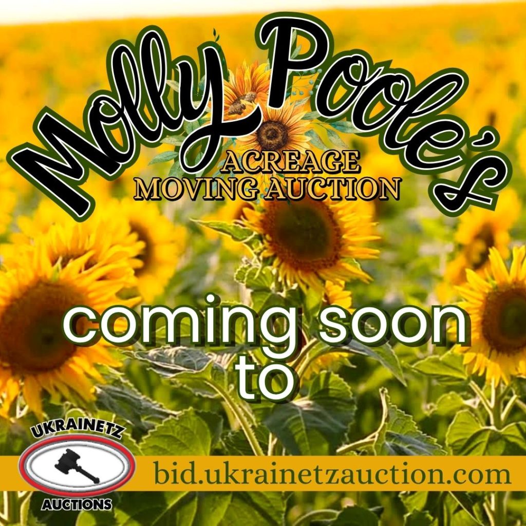 Upcoming Auctions Archives - Ukrainetz Auction
